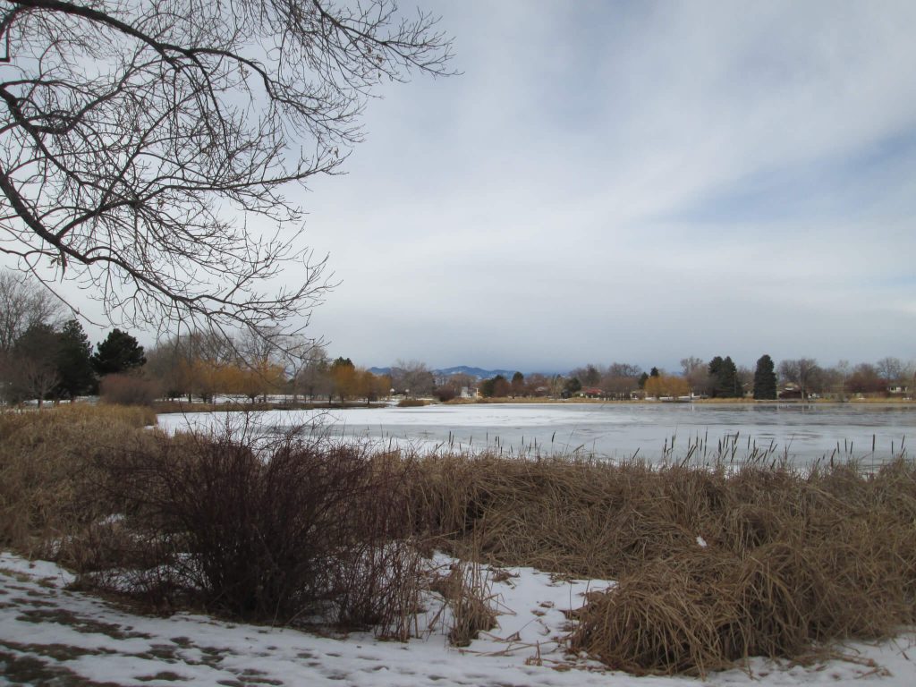 A Quaint Urban Hike through Athmar Park Denver - Denver By Foot