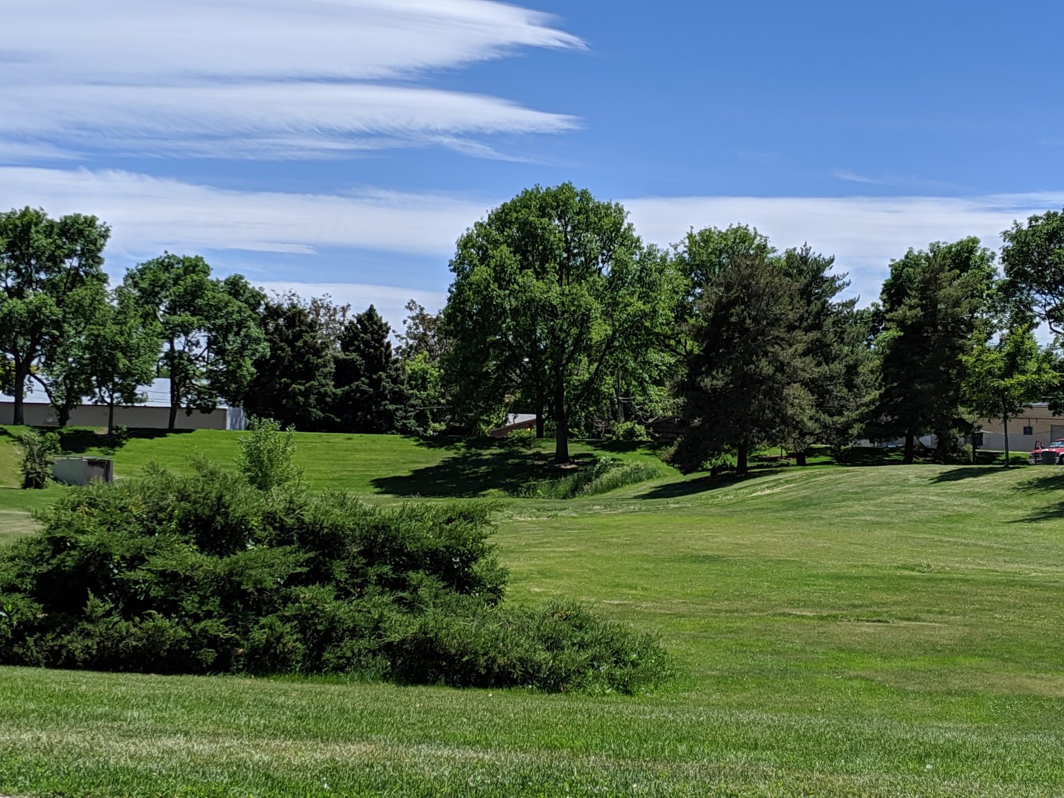 Viewing Colleges and Irises on Denver's College View Urban Hike ...